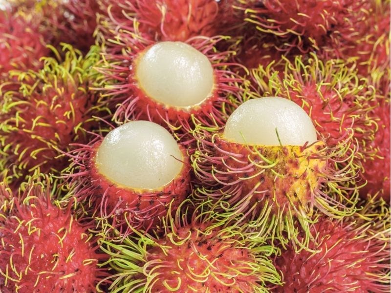 27 Unique Mexican Fruits and Veggies You've Probably Never Heard Of